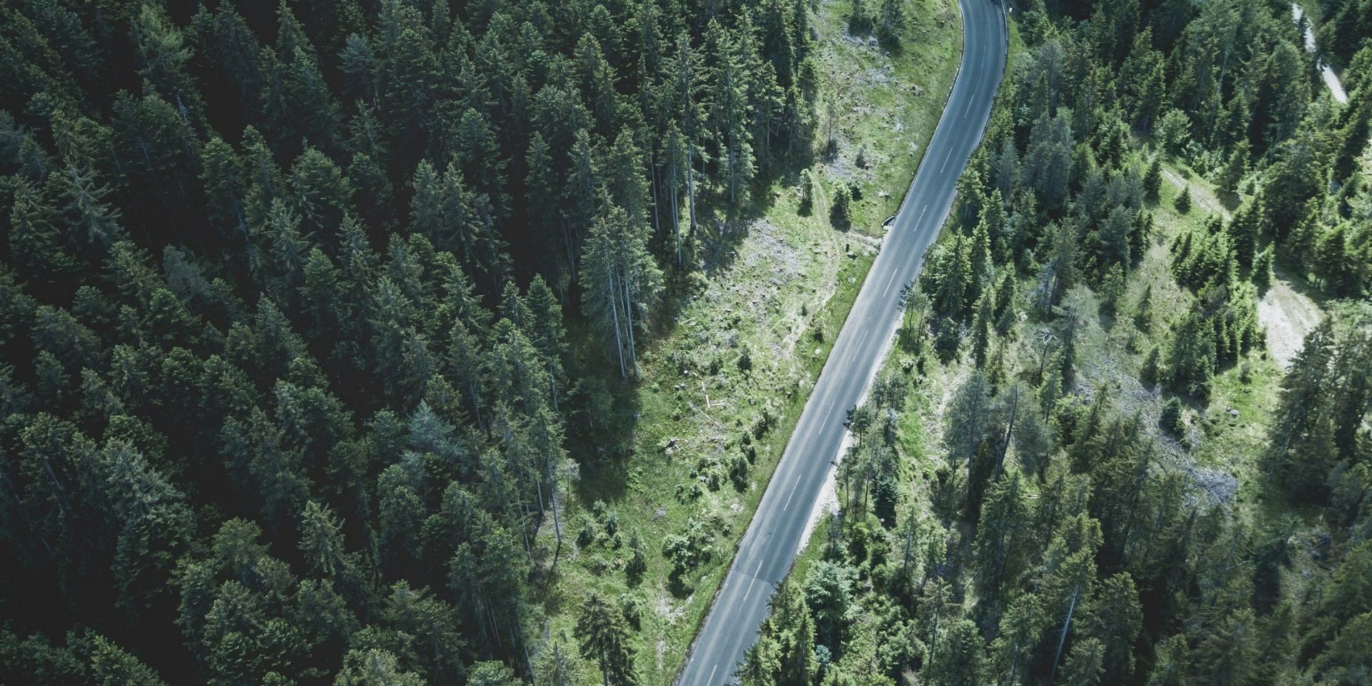 What is Lenzing ECOVERO™ viscose? – King Louie